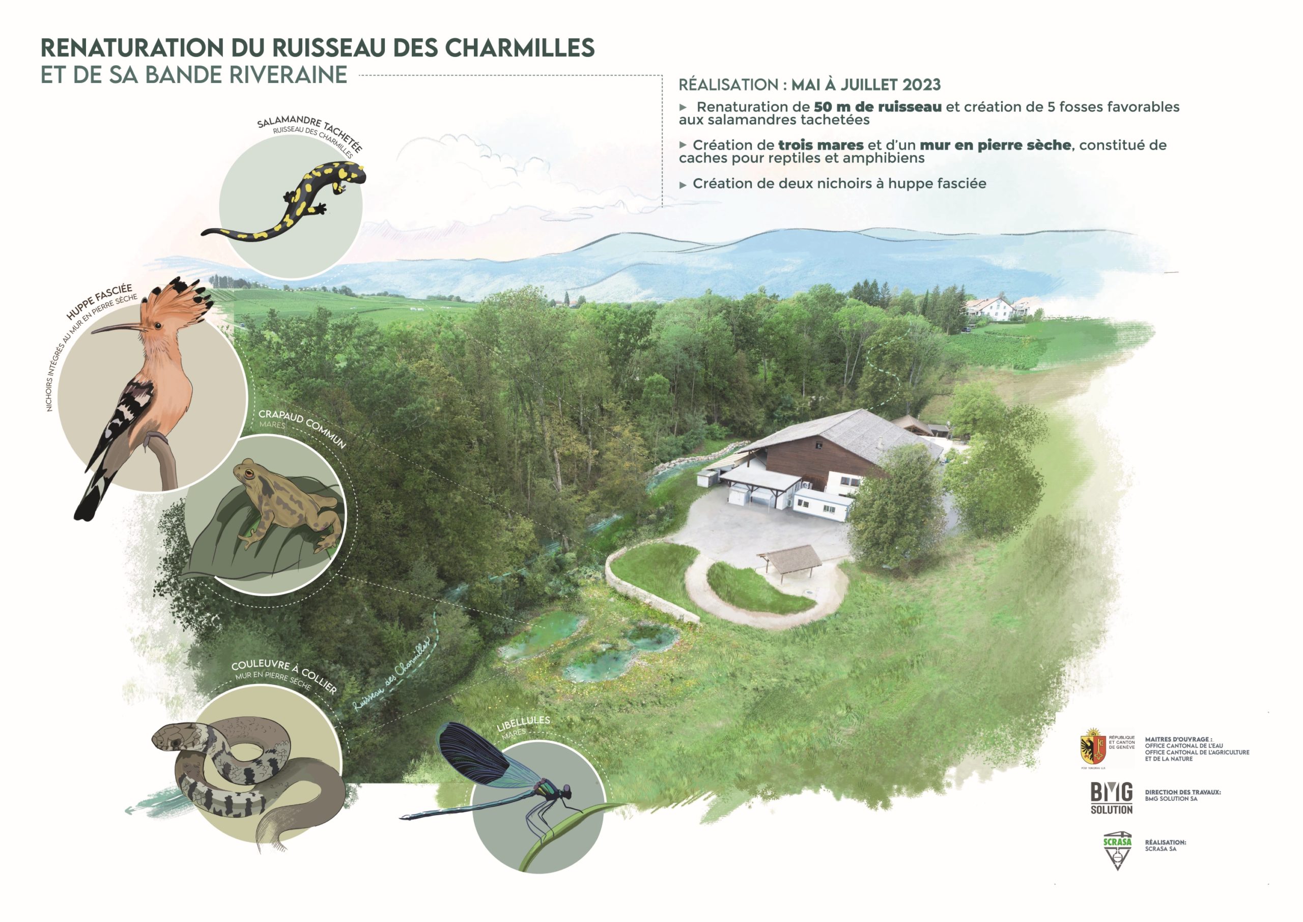 Renaturation charmilles - BMG Solution